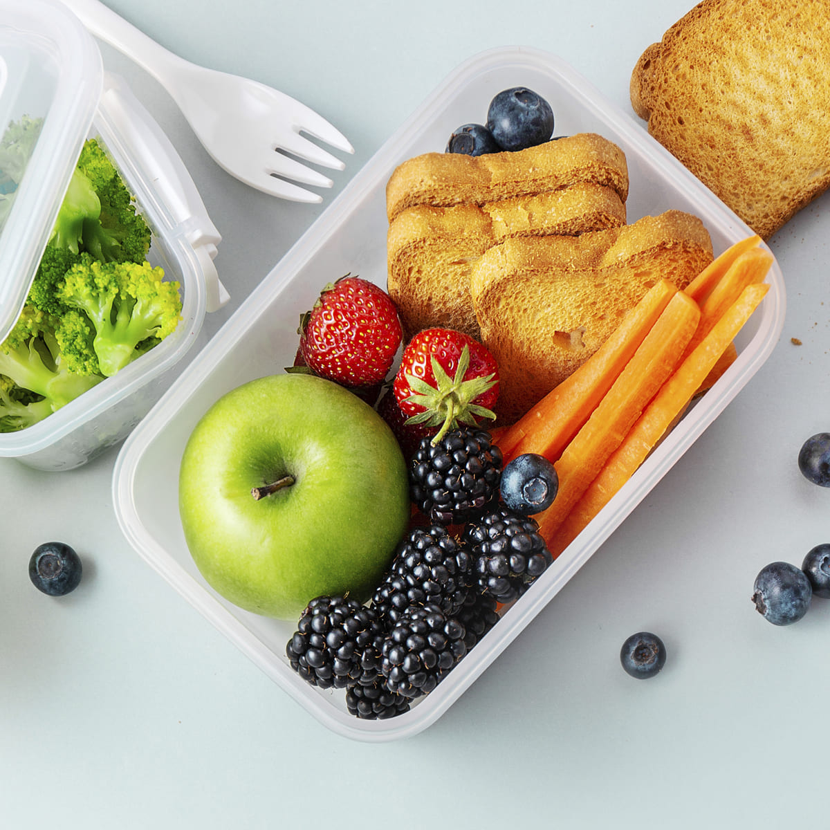 Lunch boxes for the whole family | AMC Cookware